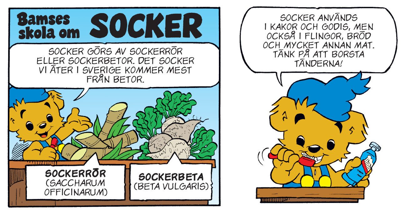 Nytt nummer: Bamse 10 – Bamse