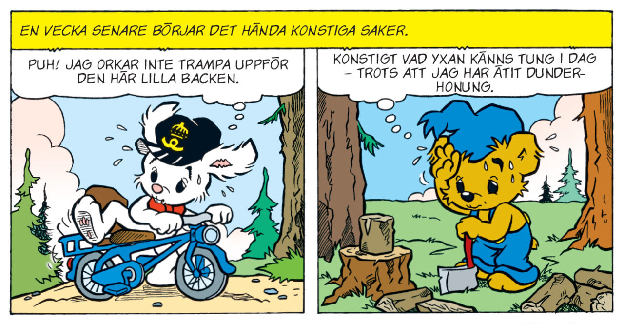 BAMSE 14 – Ute nu! – Bamse